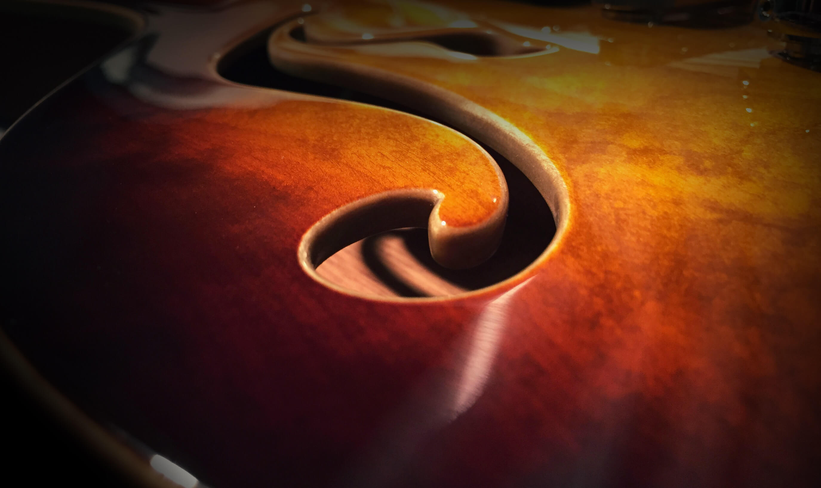 Duke Artisan - transforming your passion into music